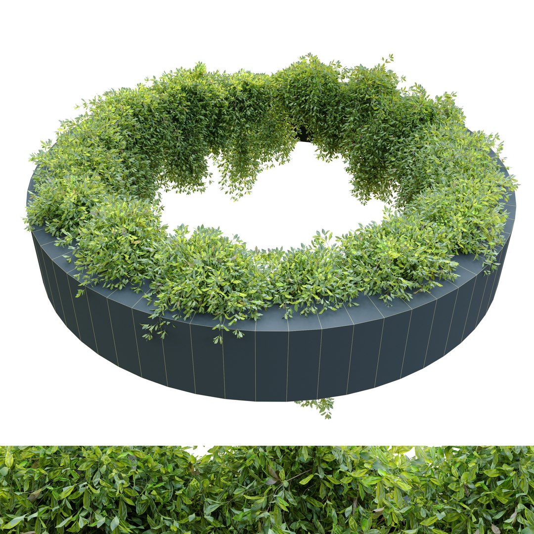 Circular Shaped Ivy Model - TurboSquid 1955880