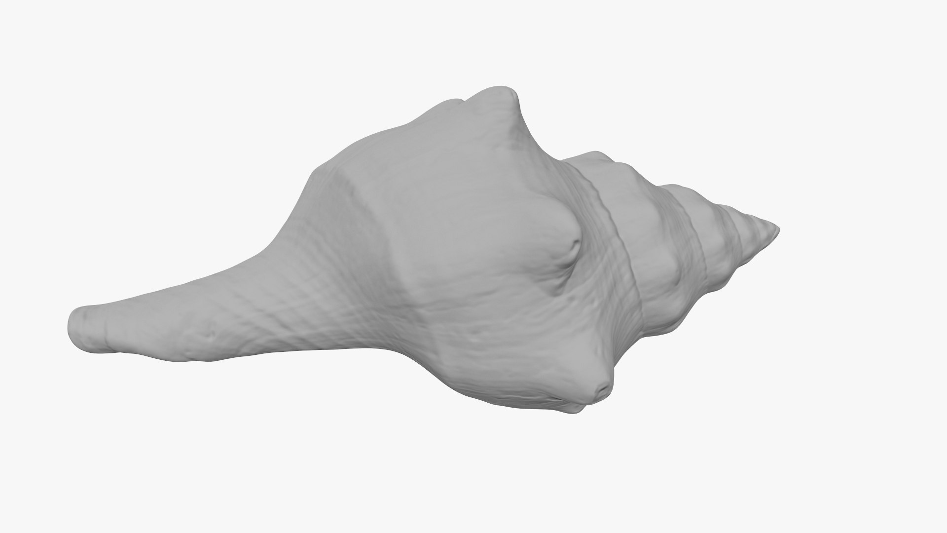Small Sea Shell 3D - TurboSquid 2074656