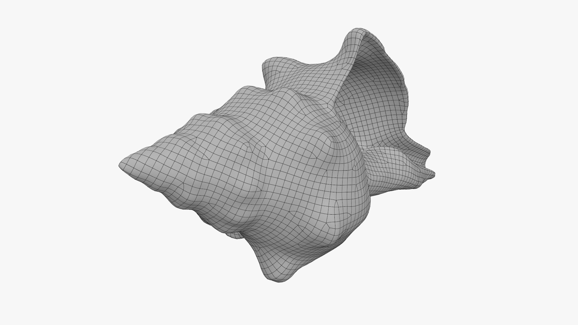 Small Sea Shell 3D - TurboSquid 2074656