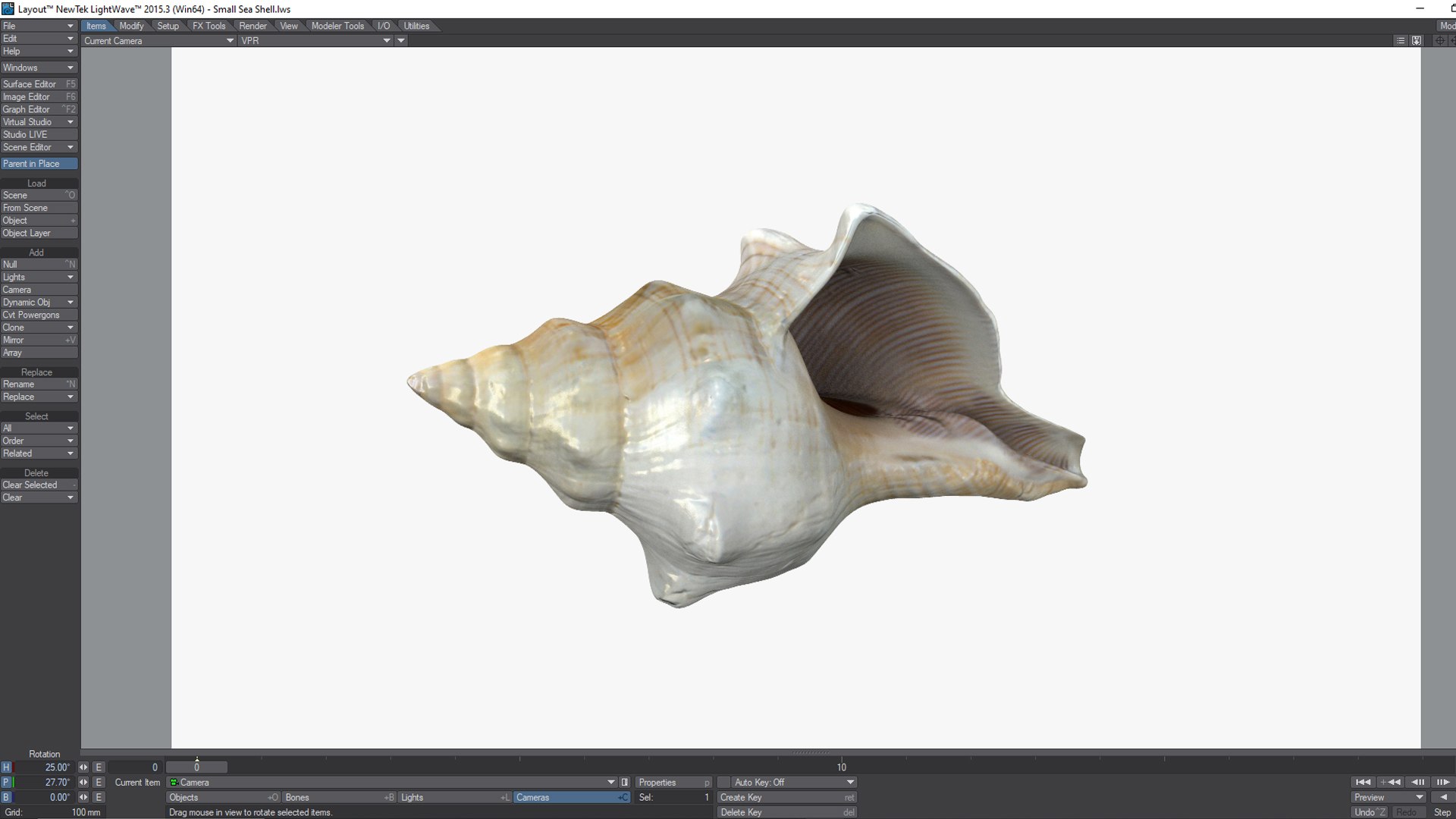 Small Sea Shell 3D - TurboSquid 2074656