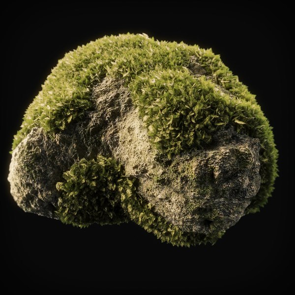 modelo 3d Moss Low Poly 8 - TurboSquid 1535005