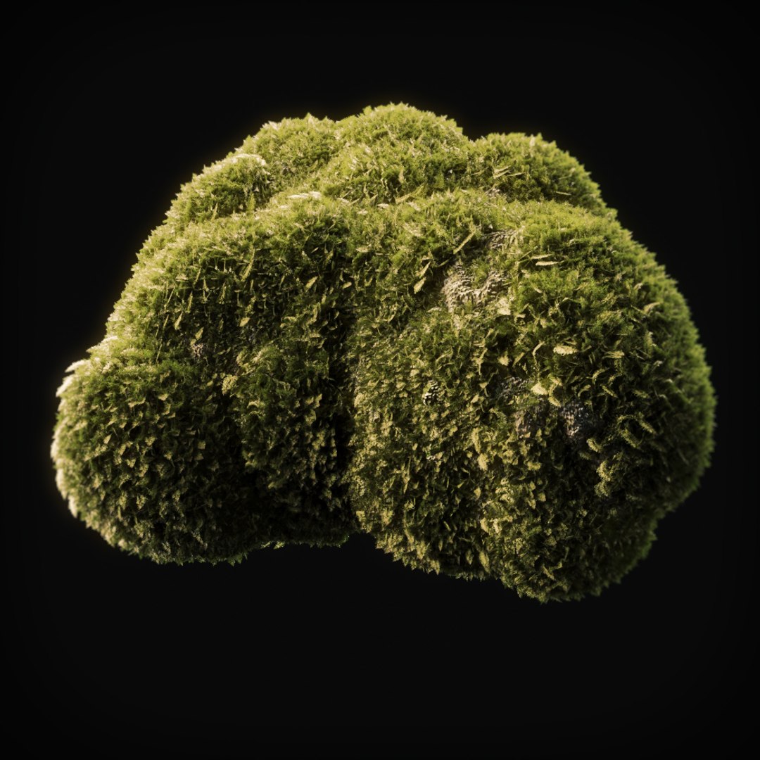 3D Moss 8 - TurboSquid 1535005