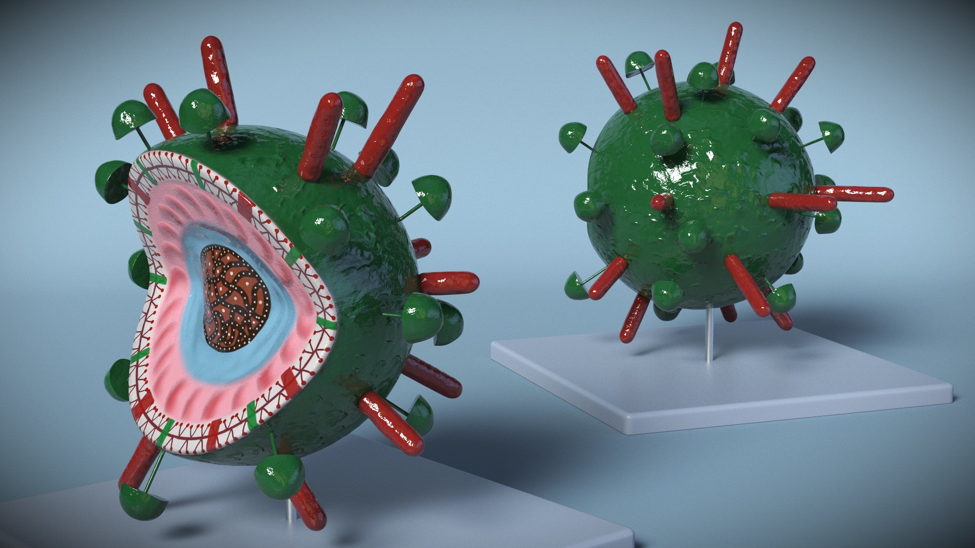 3D Model Influenza Virus Educational Model On Stand - TurboSquid 2414781