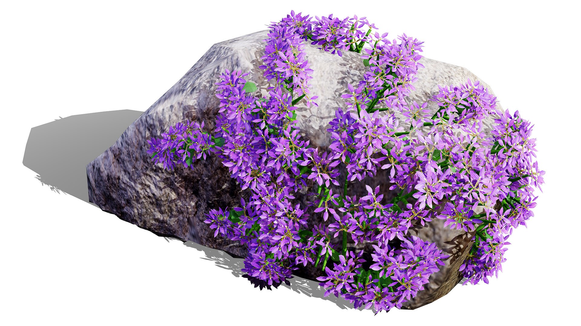 3D Model Purple Fanfare Flower 3D Pack - TurboSquid 2376788