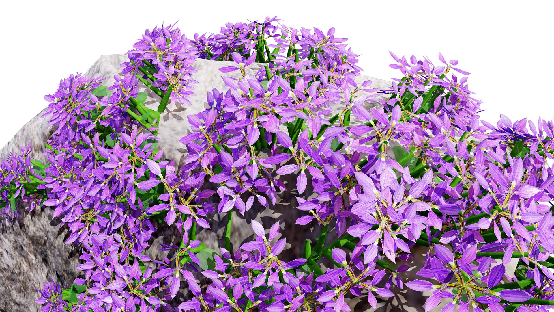 3D Model Purple Fanfare Flower 3D Pack - TurboSquid 2376788