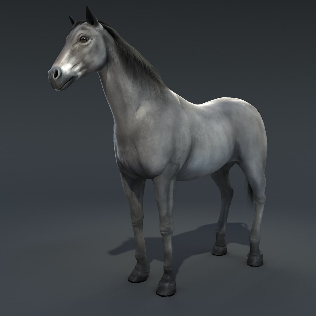 3d Model Of Horse