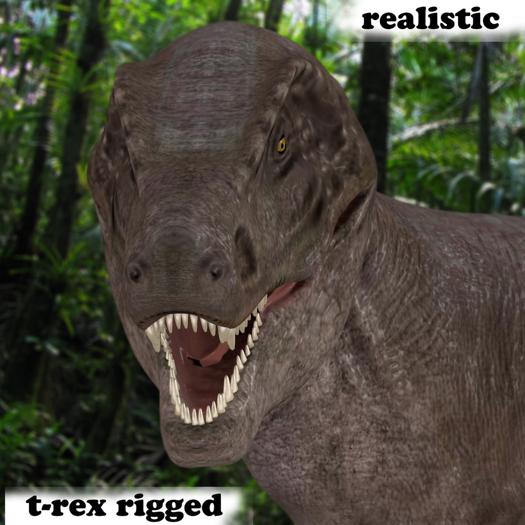 3d tyrannosaurus rex