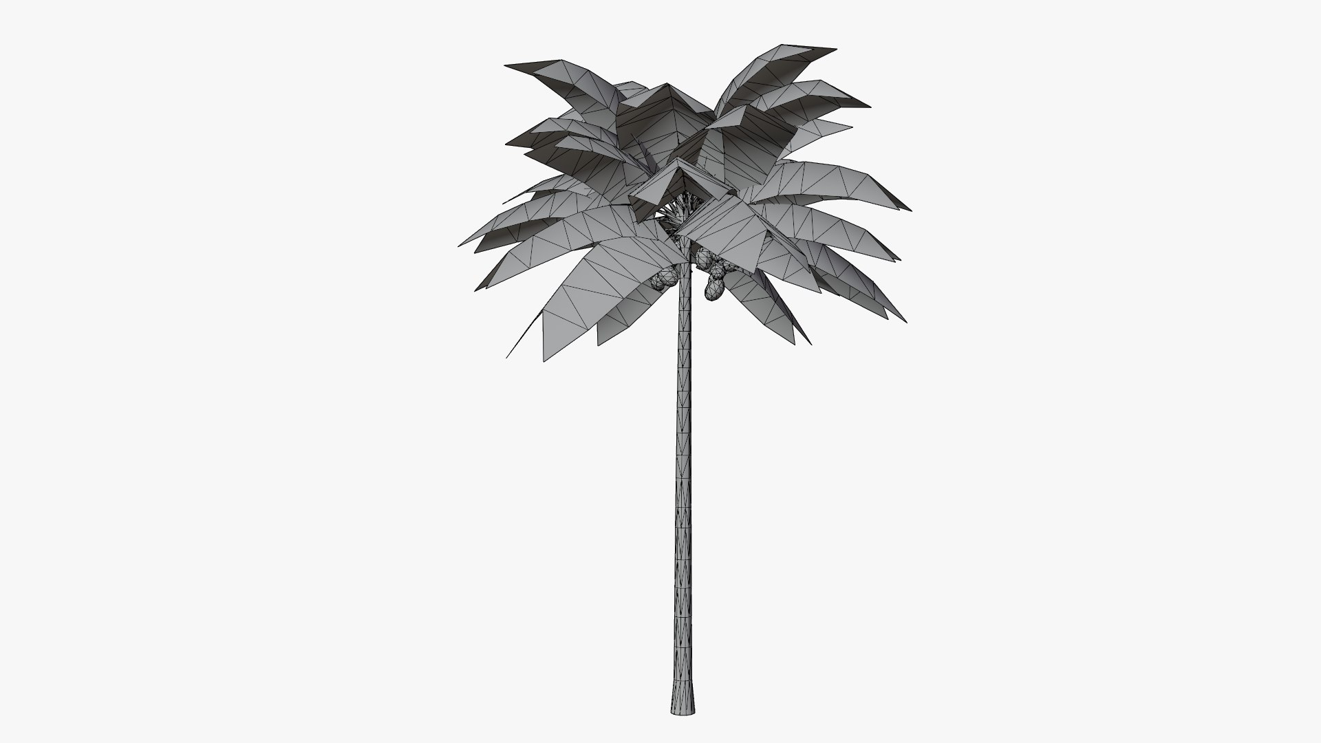 3D Model Lowpoly Coconut Palm V1 - TurboSquid 2047738