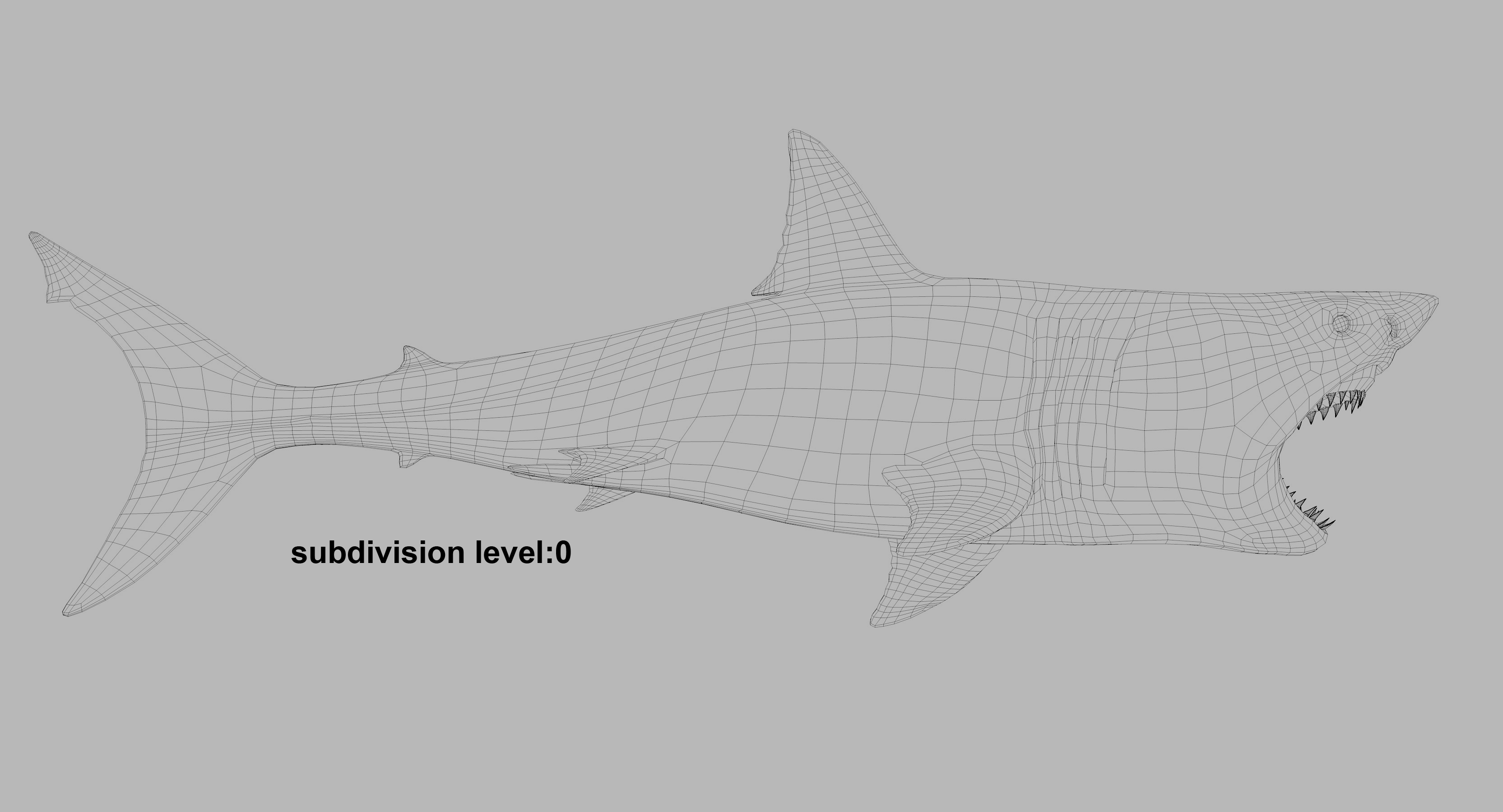 realistic great white shark 3d model