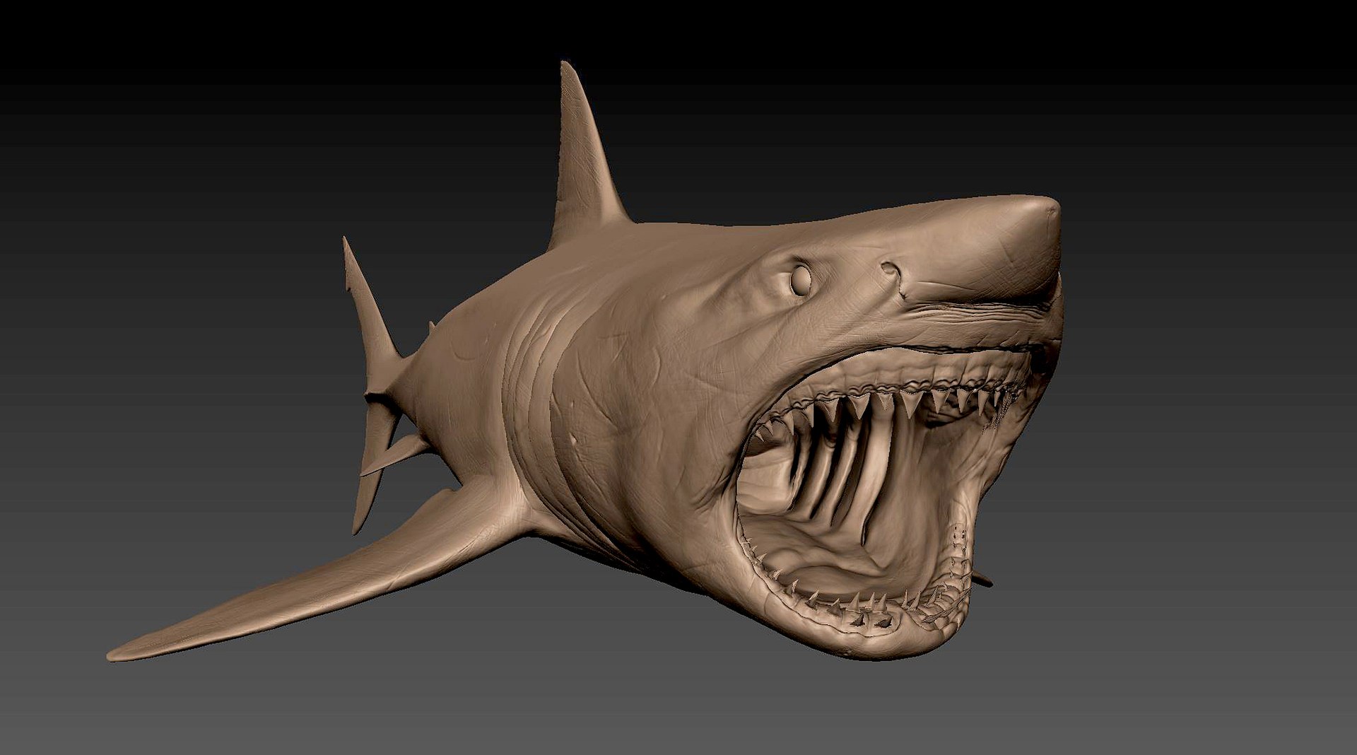 realistic great white shark 3d model