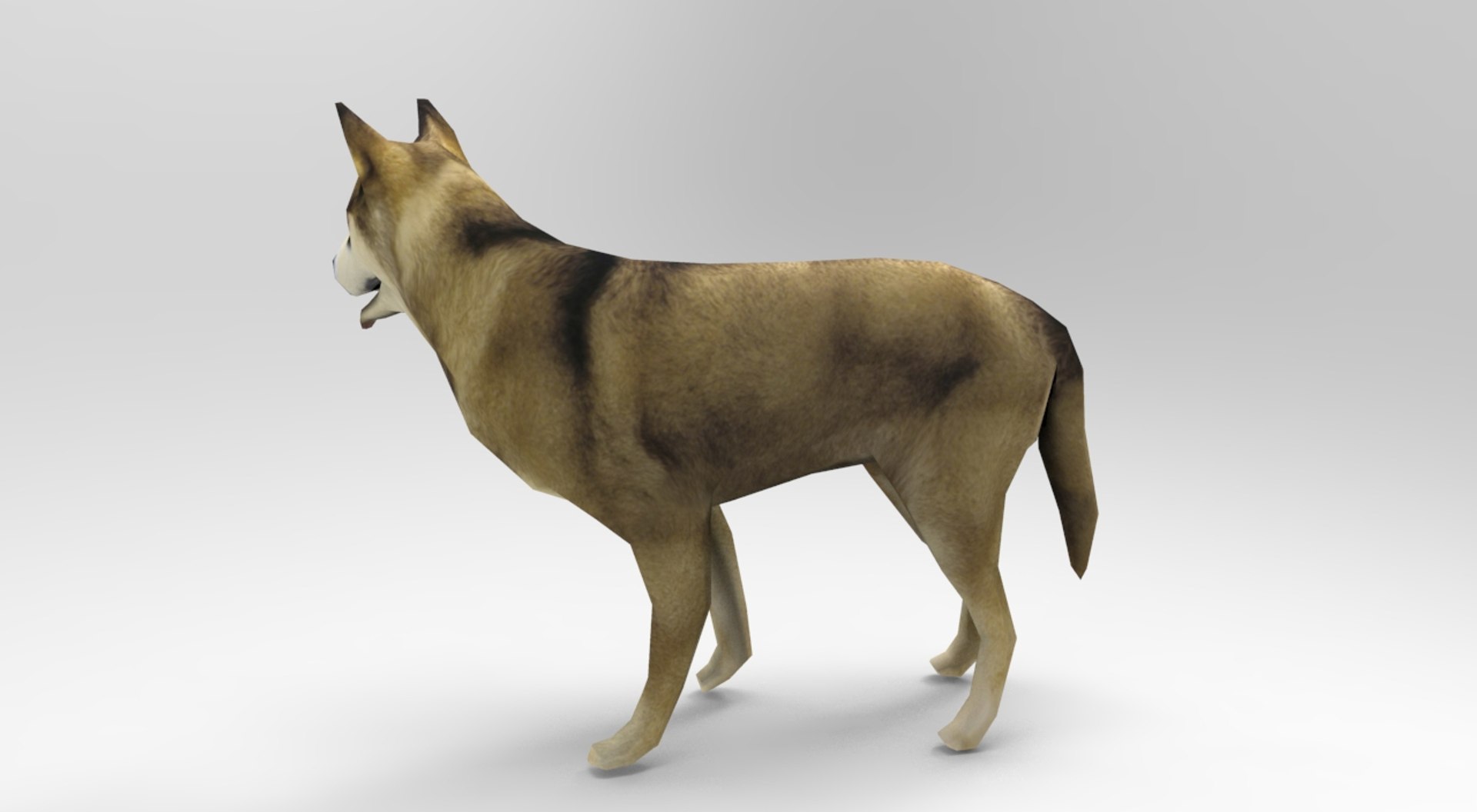 German Shepherd Dog Rigged 3D Model - TurboSquid 1204082