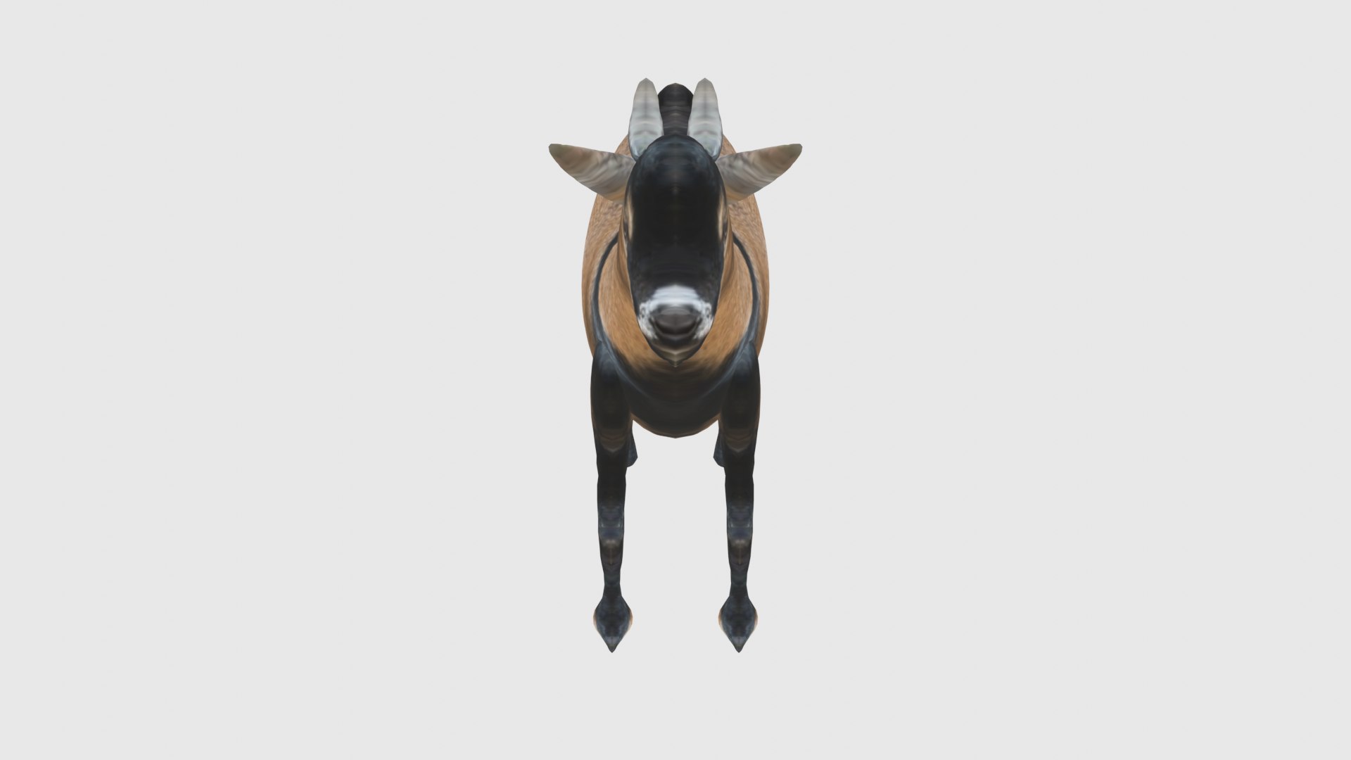 Low Poly Goat Rigged With Realistic Texture 3D - TurboSquid 1876127