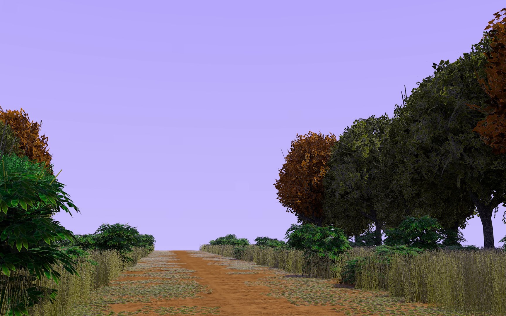 Country Forest Path 3d C4d