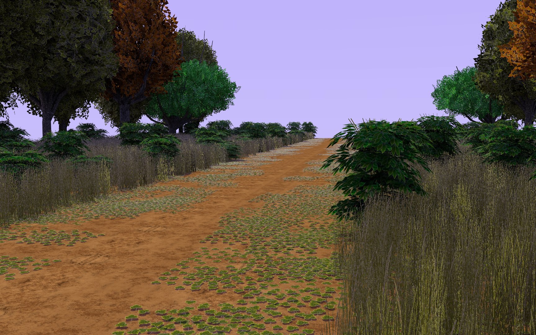 Country Forest Path 3d C4d