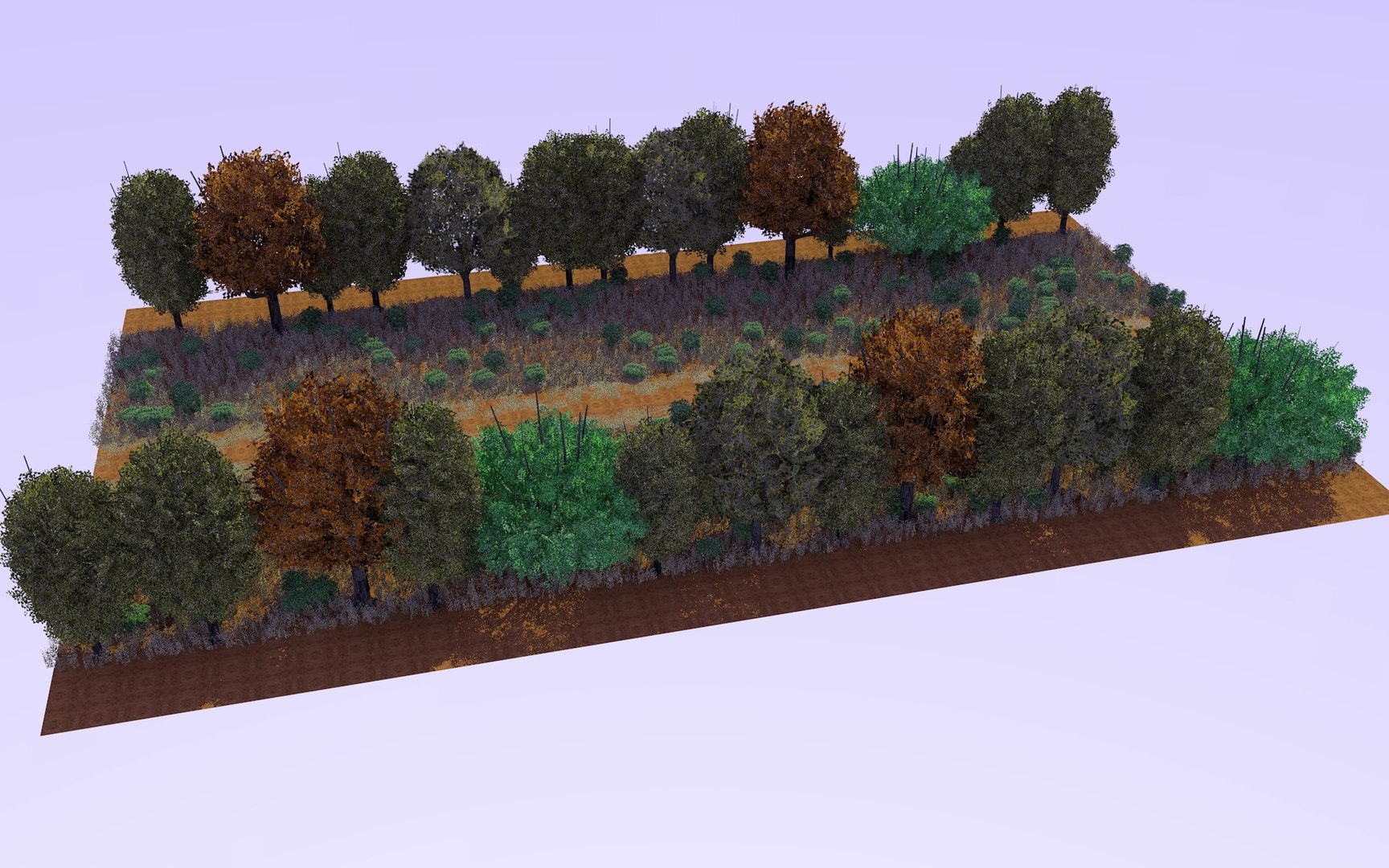 Country Forest Path 3d C4d