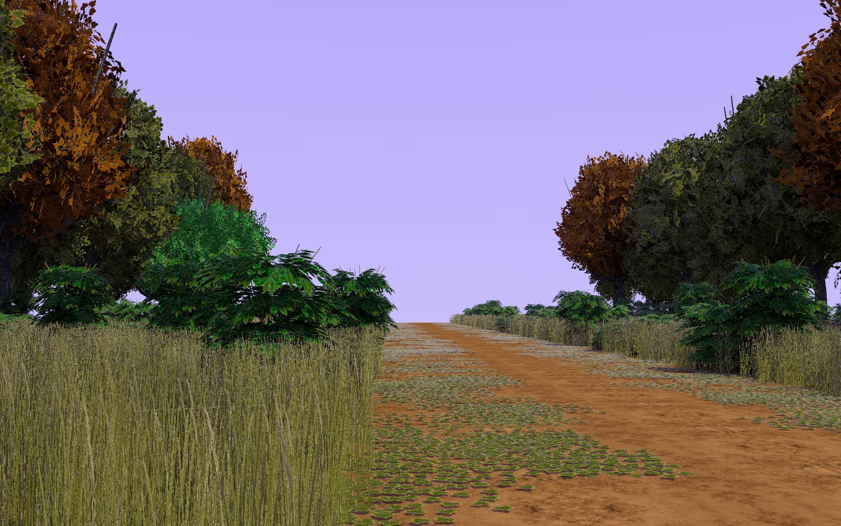 Country Forest Path 3d C4d