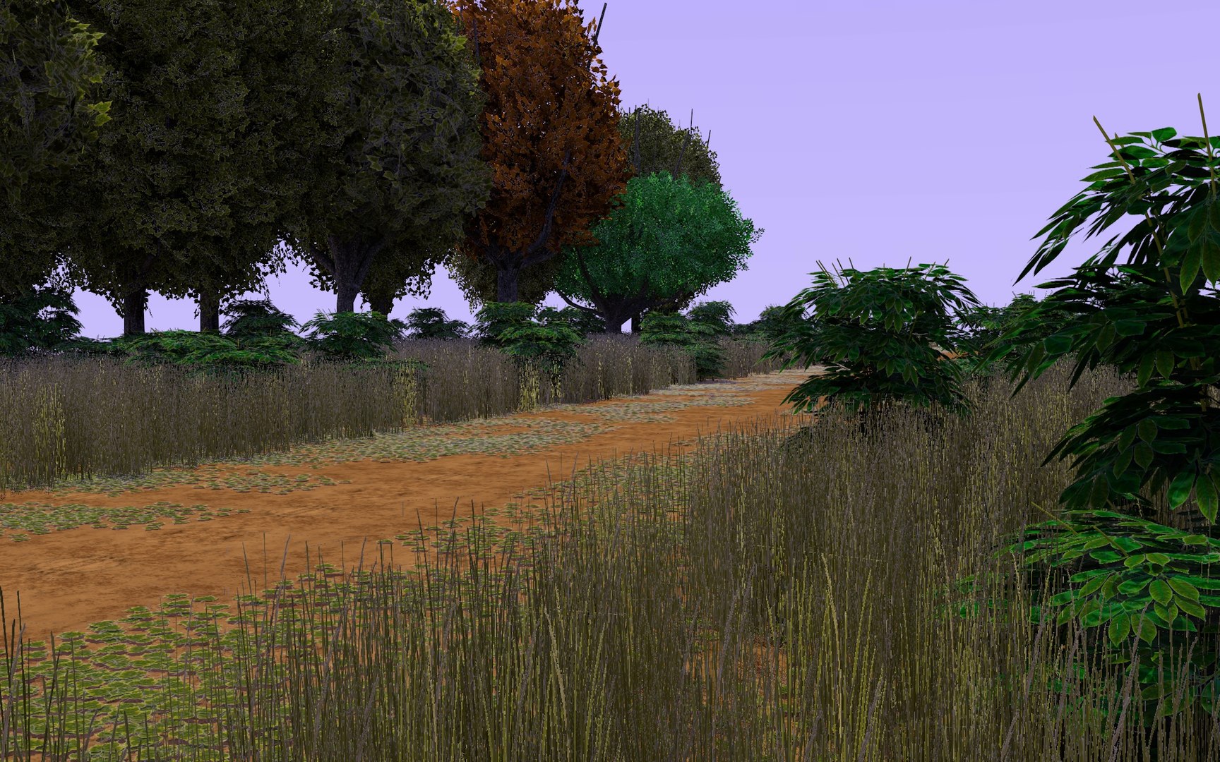 Country Forest Path 3d C4d