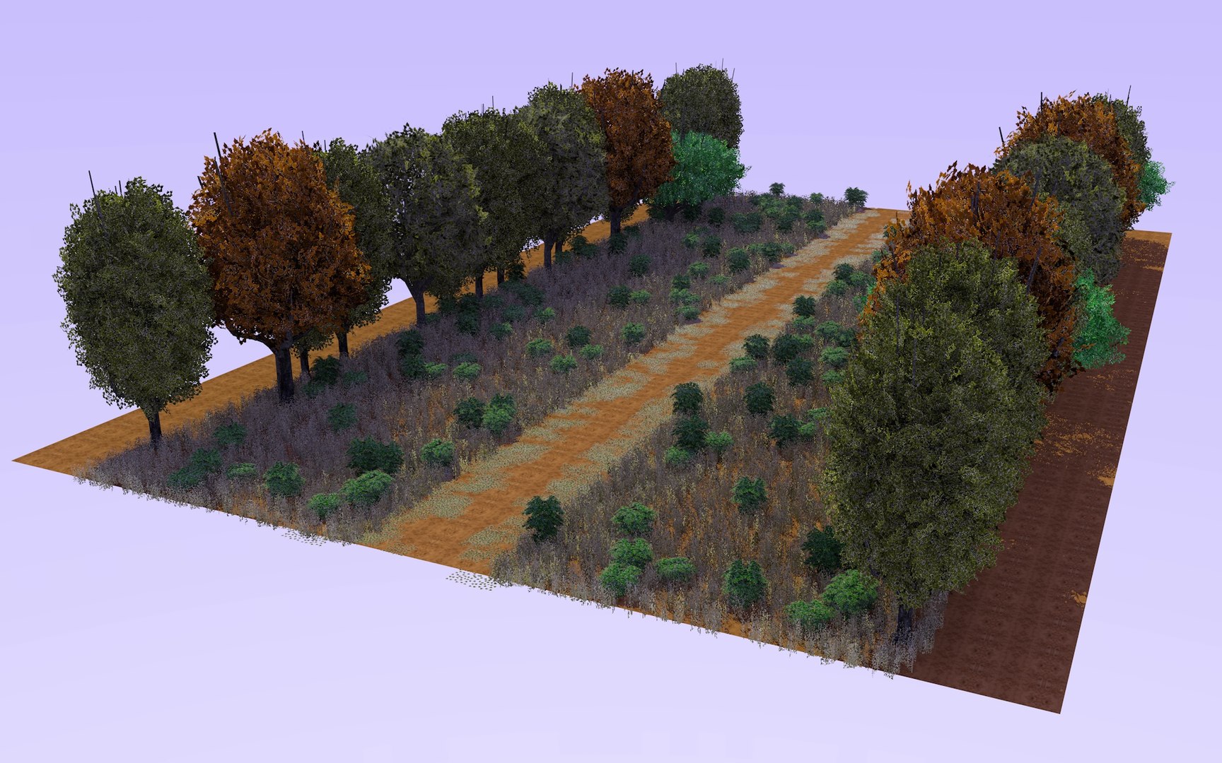 Country Forest Path 3d C4d