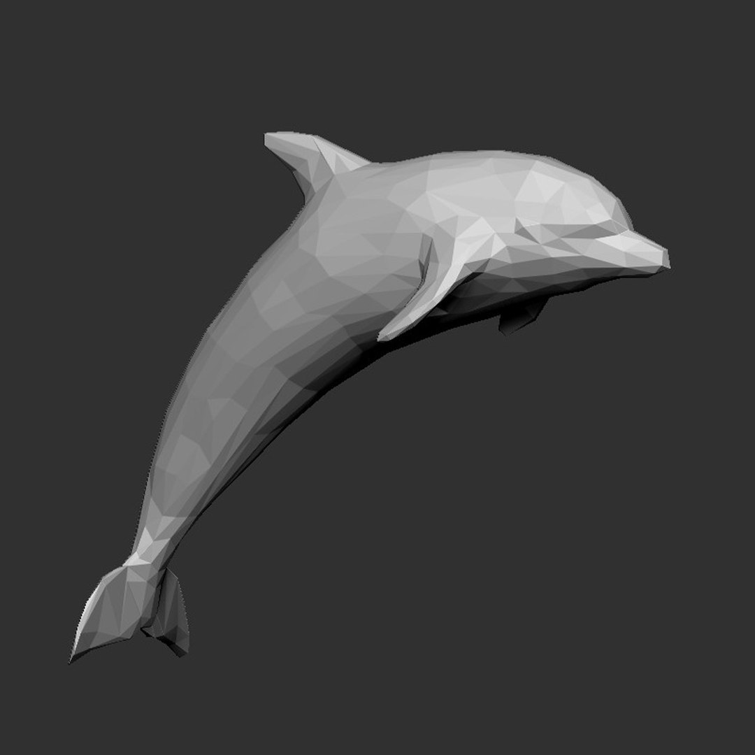 3D Low-poly Dolphin - TurboSquid 1382205
