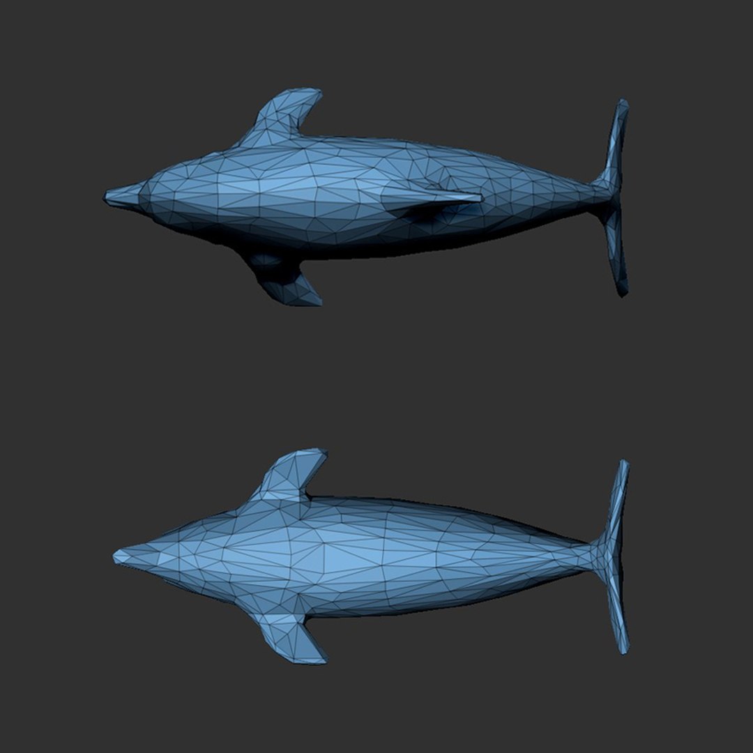 3D Low-poly Dolphin - TurboSquid 1382205