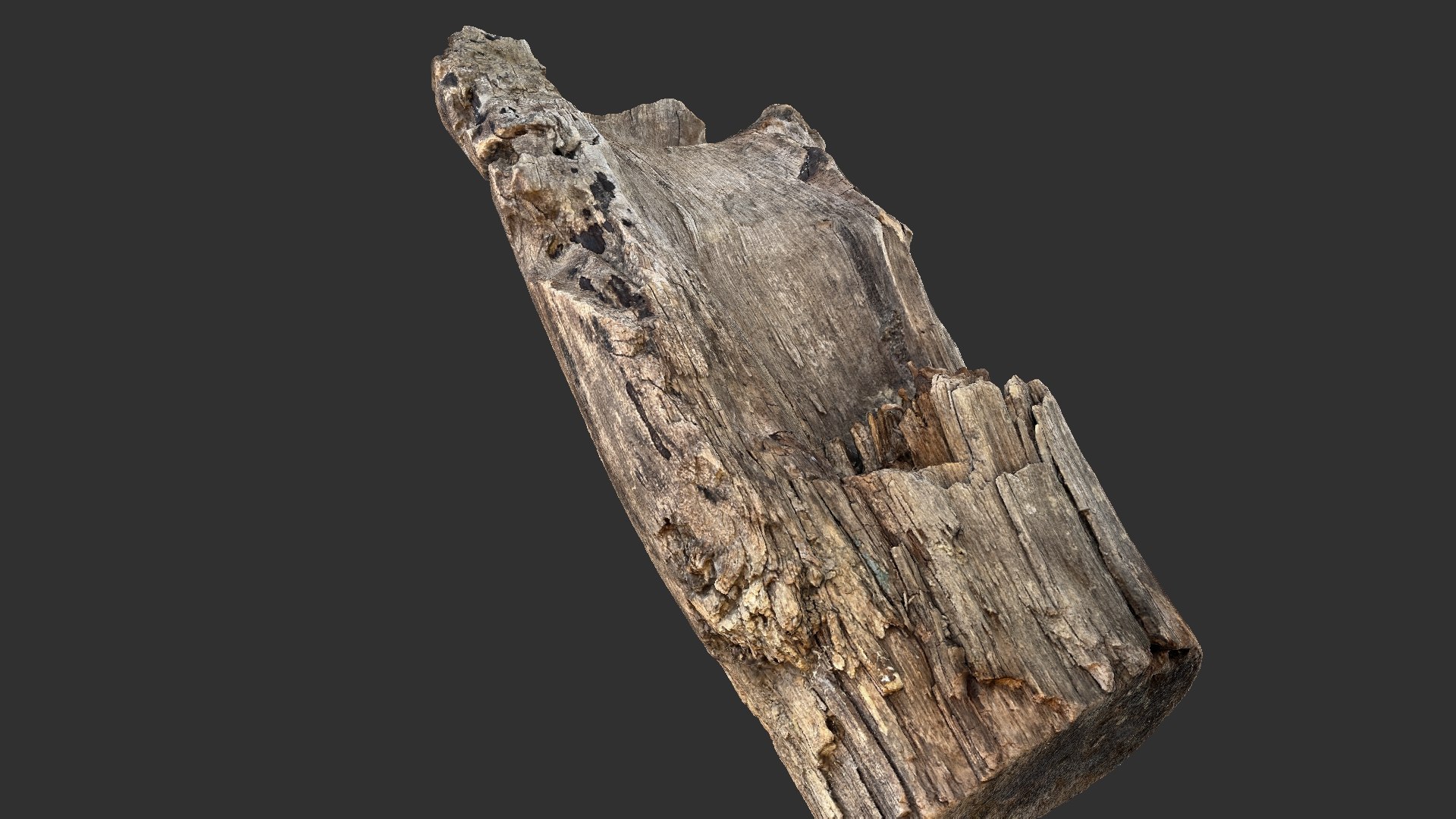 Tree Trunk 3d Scan 3D Model - TurboSquid 2148415