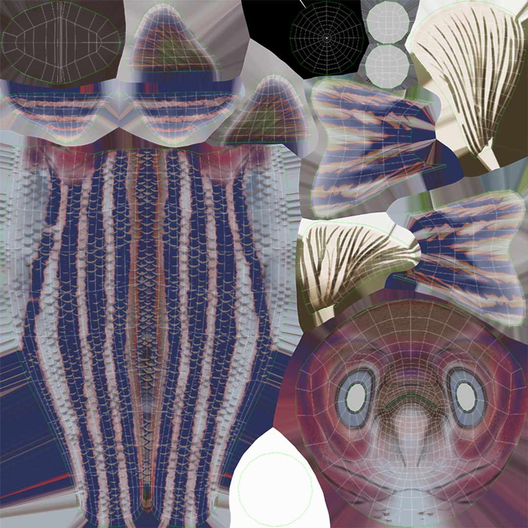 Zebra Tropical Fish Rigged 3D Model - TurboSquid 2292745