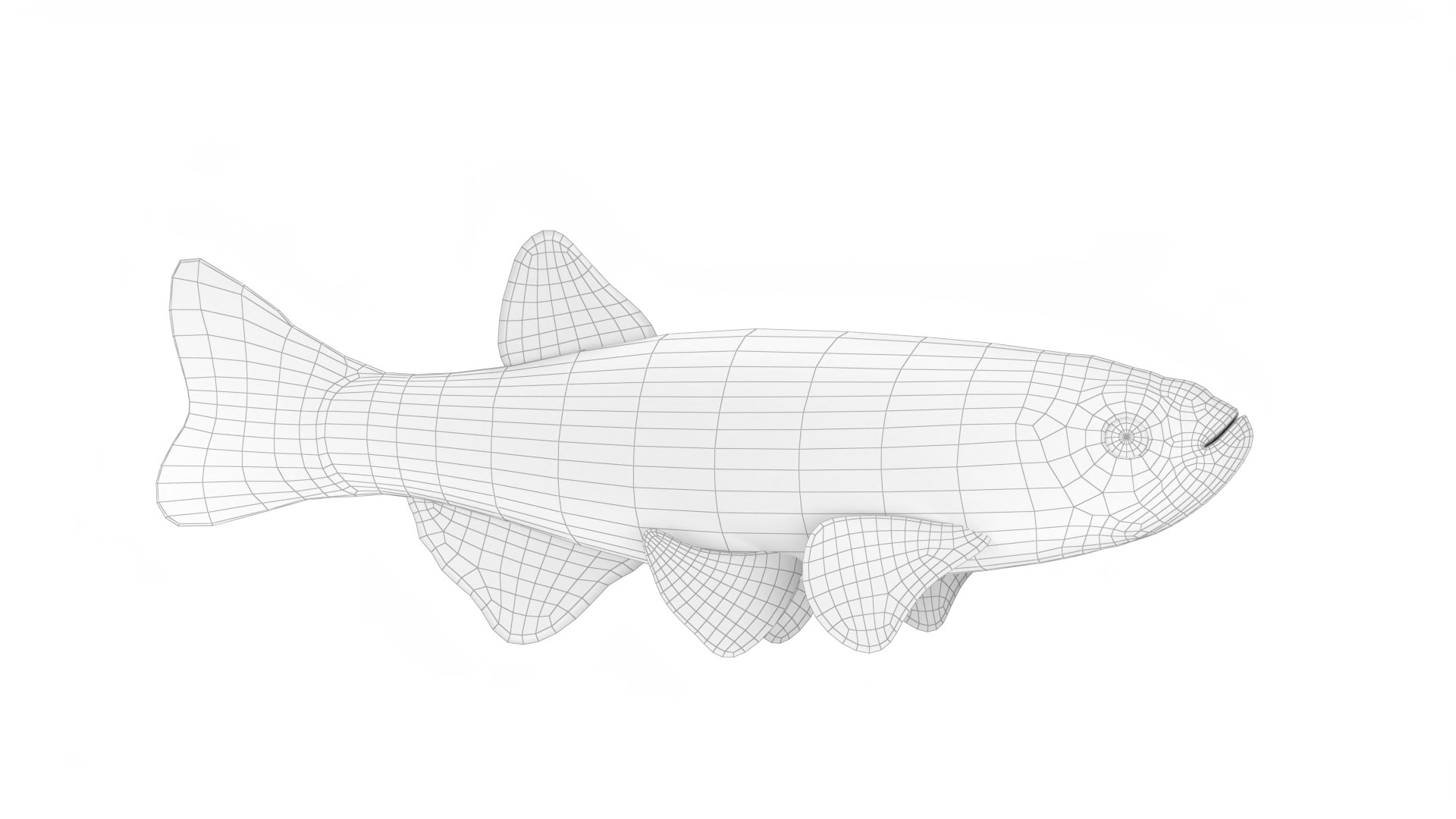 Zebra Tropical Fish Rigged 3D Model - TurboSquid 2292745