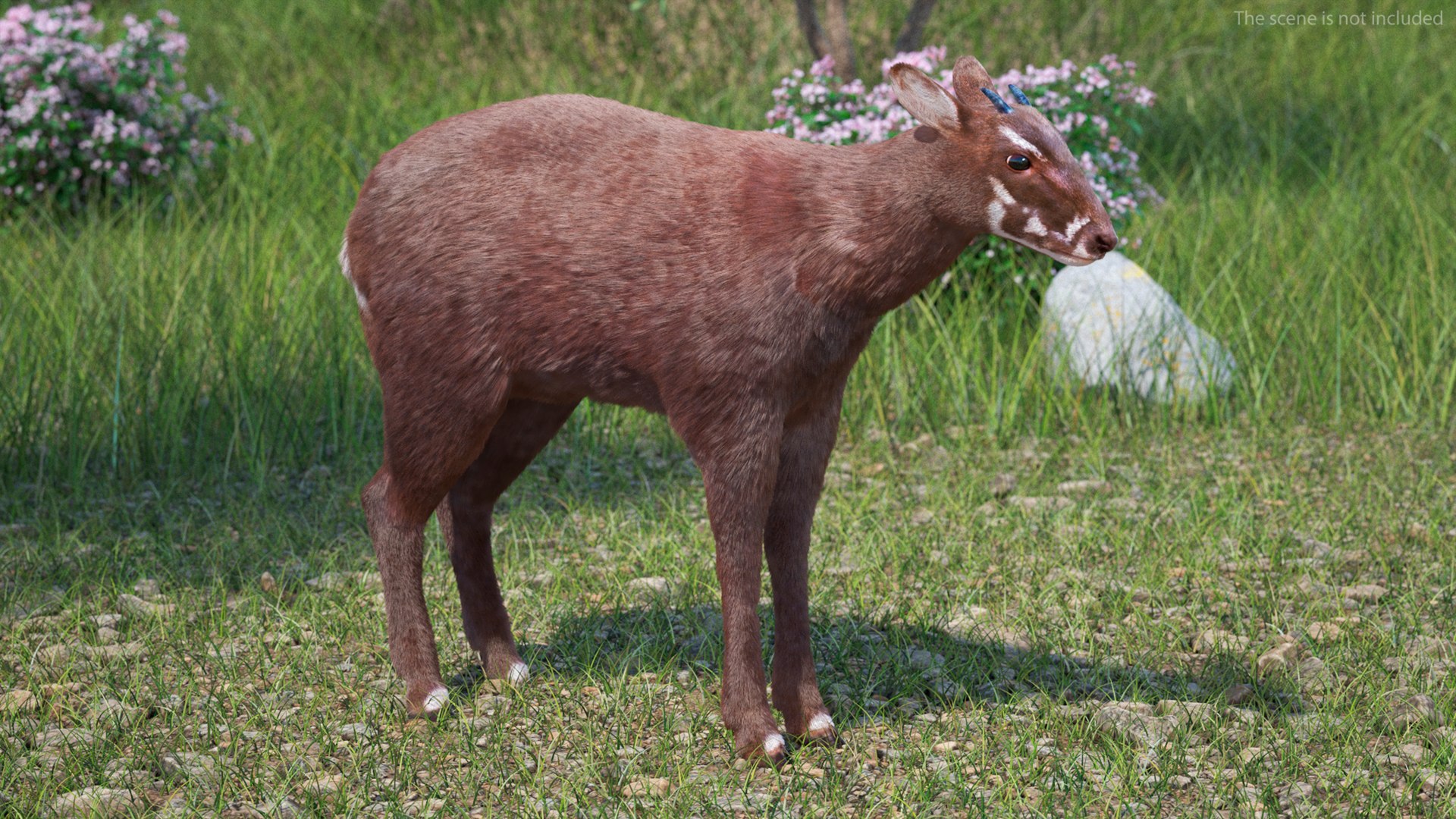 Saola Fur Rigged 3D Model - TurboSquid 2202827
