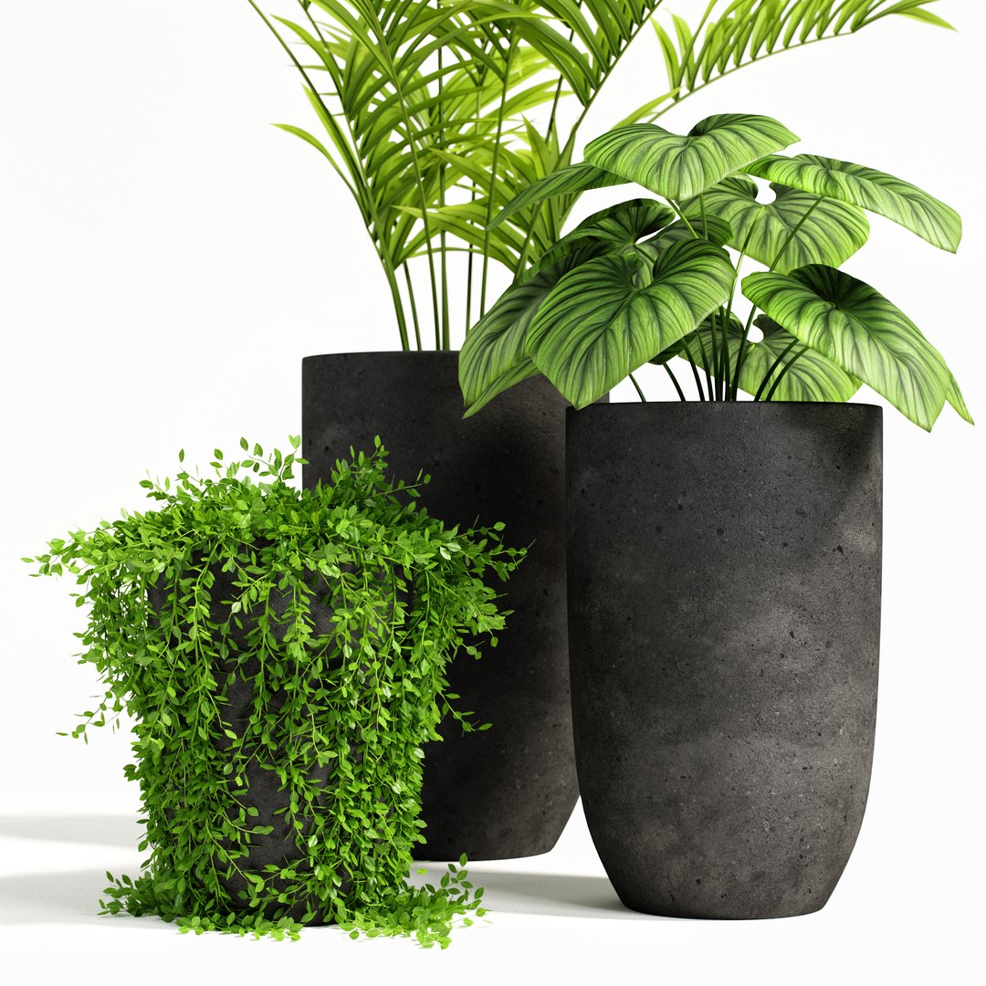 3D Plants Set 03 - TurboSquid 1246676