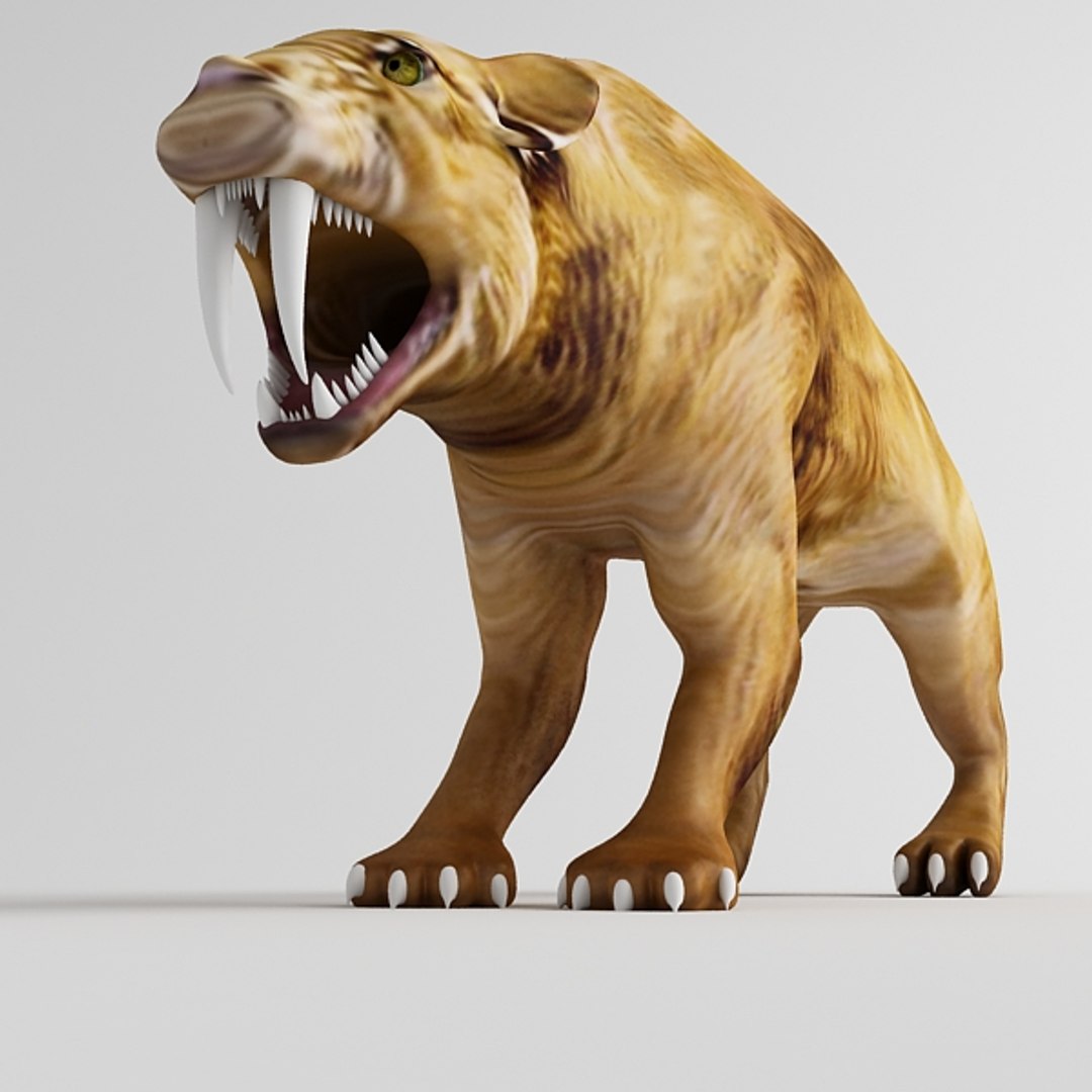 3d Model Sabertooth