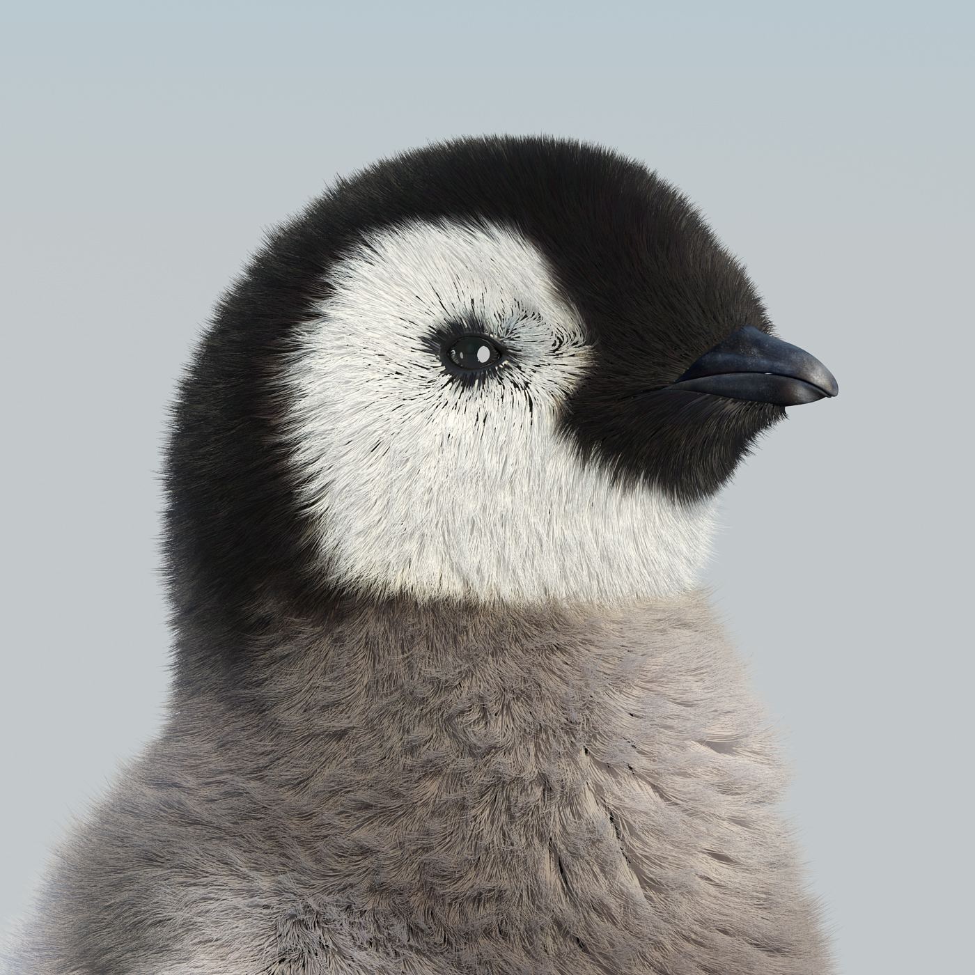 emperor penguin chick fur 3d model