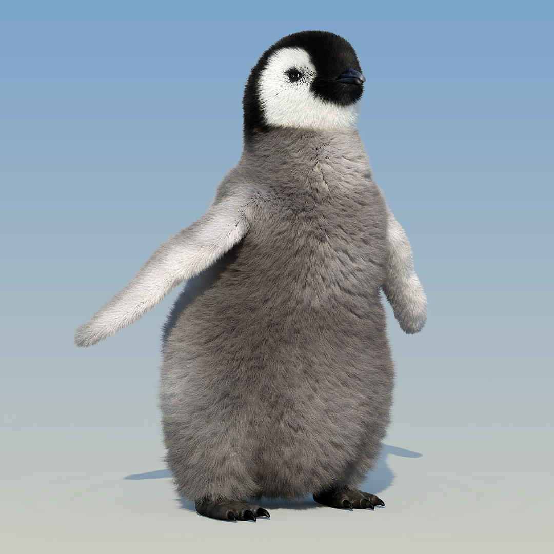 Emperor Penguin Chick Fur 3d Model