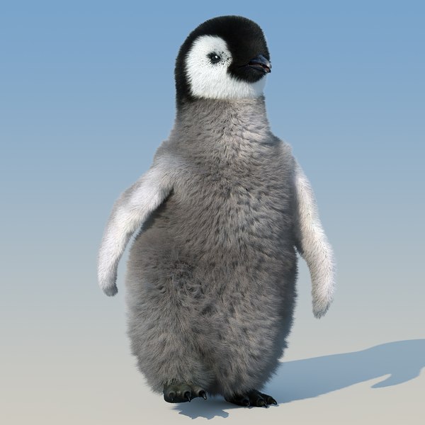 emperor penguin chick fur 3d model