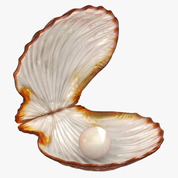 pearl shell 3d max