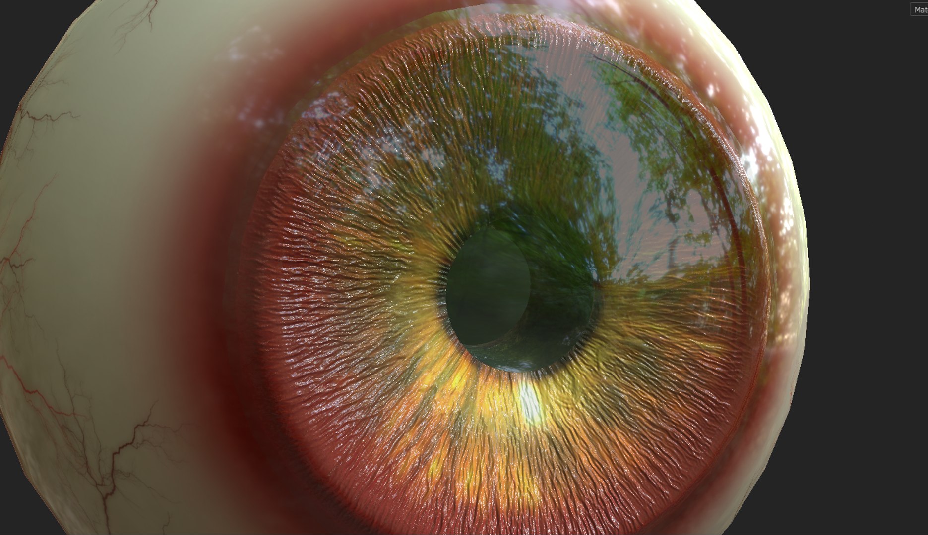Free Eye Eyeball 3D - TurboSquid 1321489