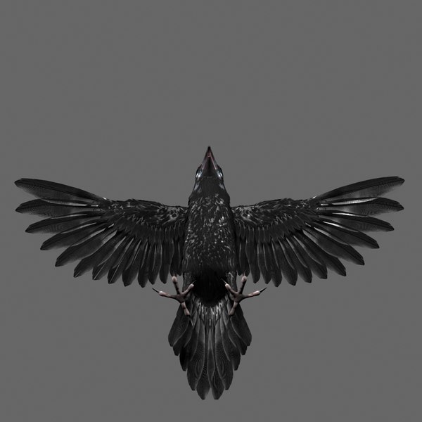 Free Animated 3D Glb-Model Models | TurboSquid