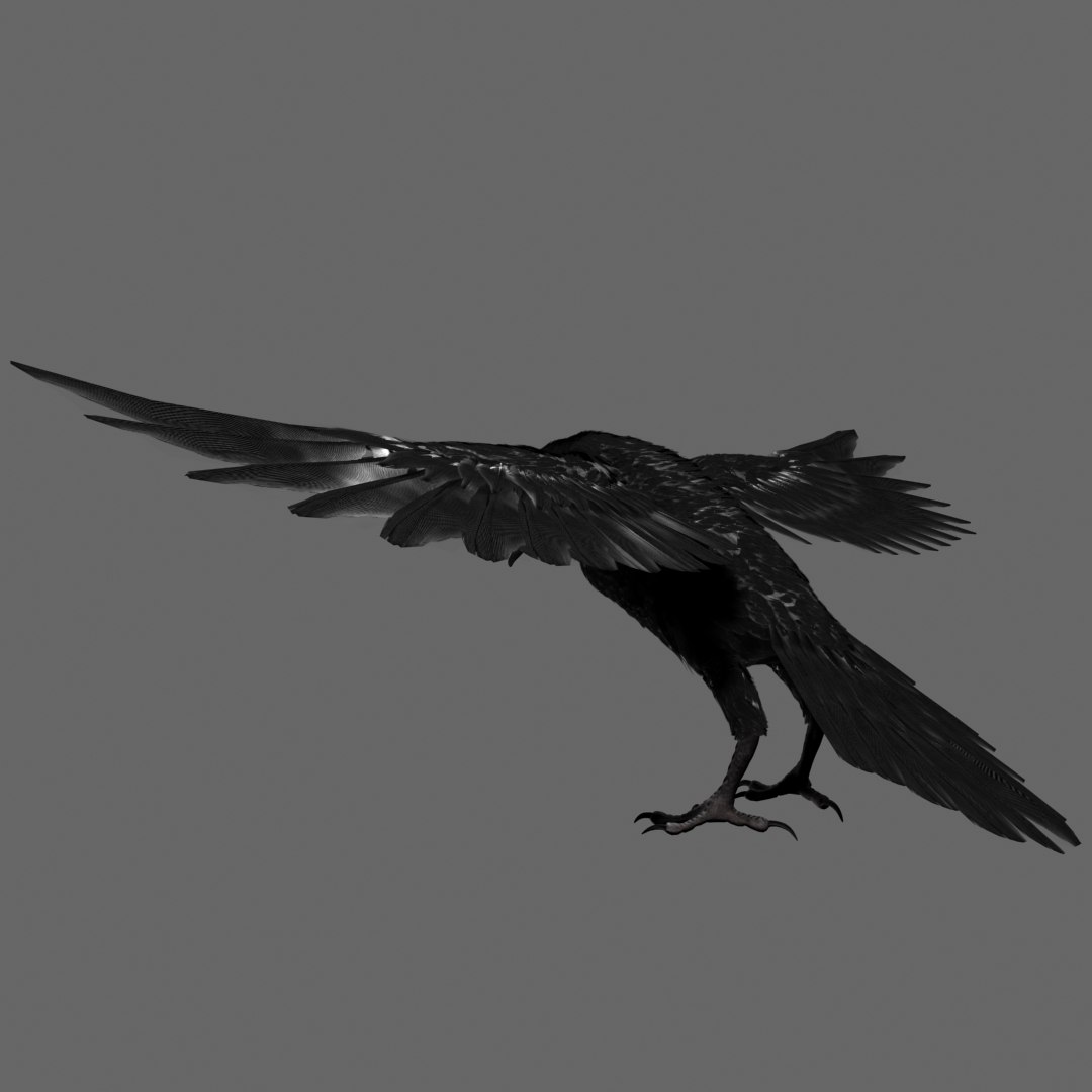 Raven Modeled 3D Model - TurboSquid 1438613