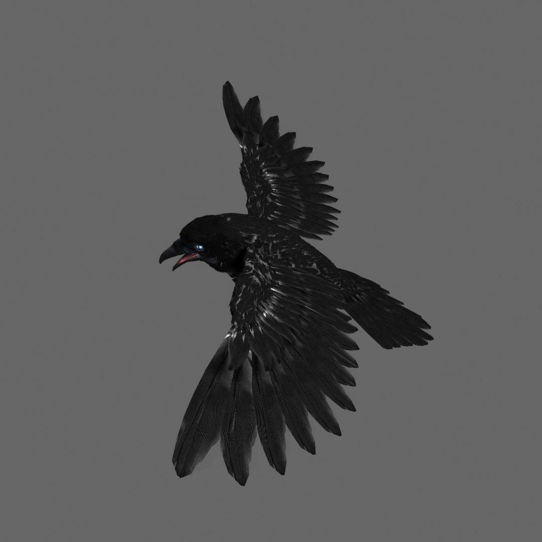 Raven Modeled 3D Model - TurboSquid 1438613
