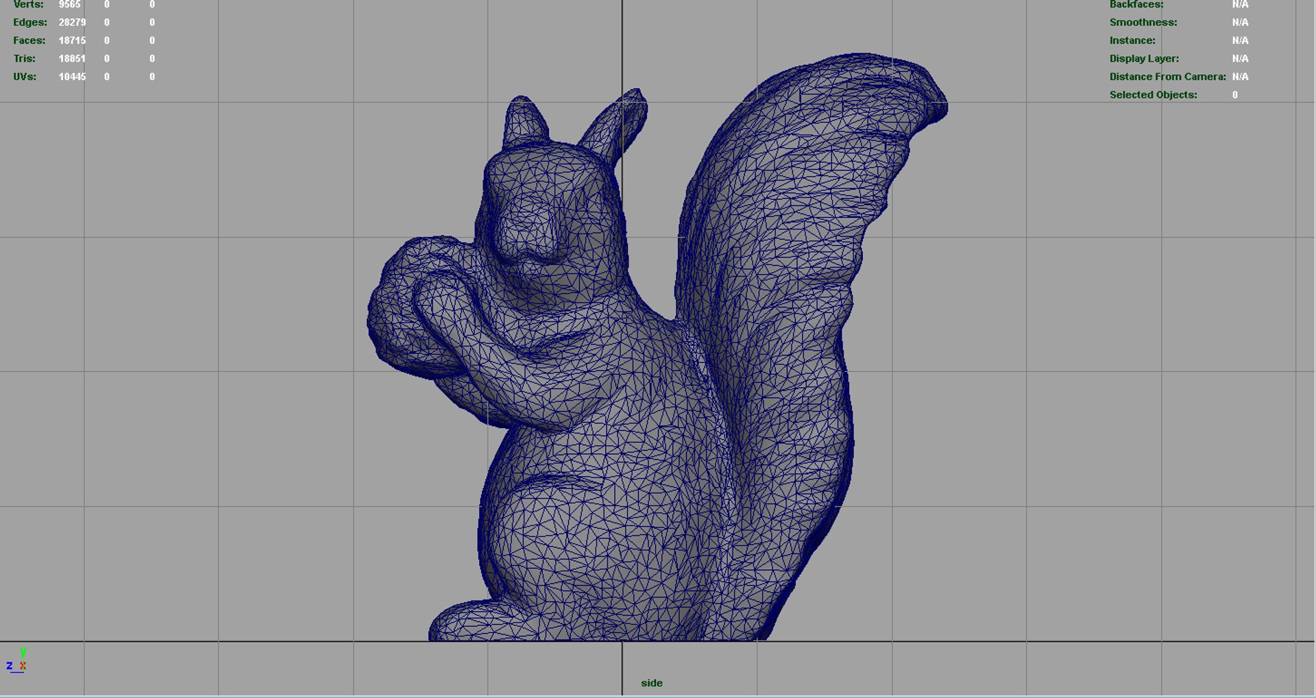 3d squirrel model