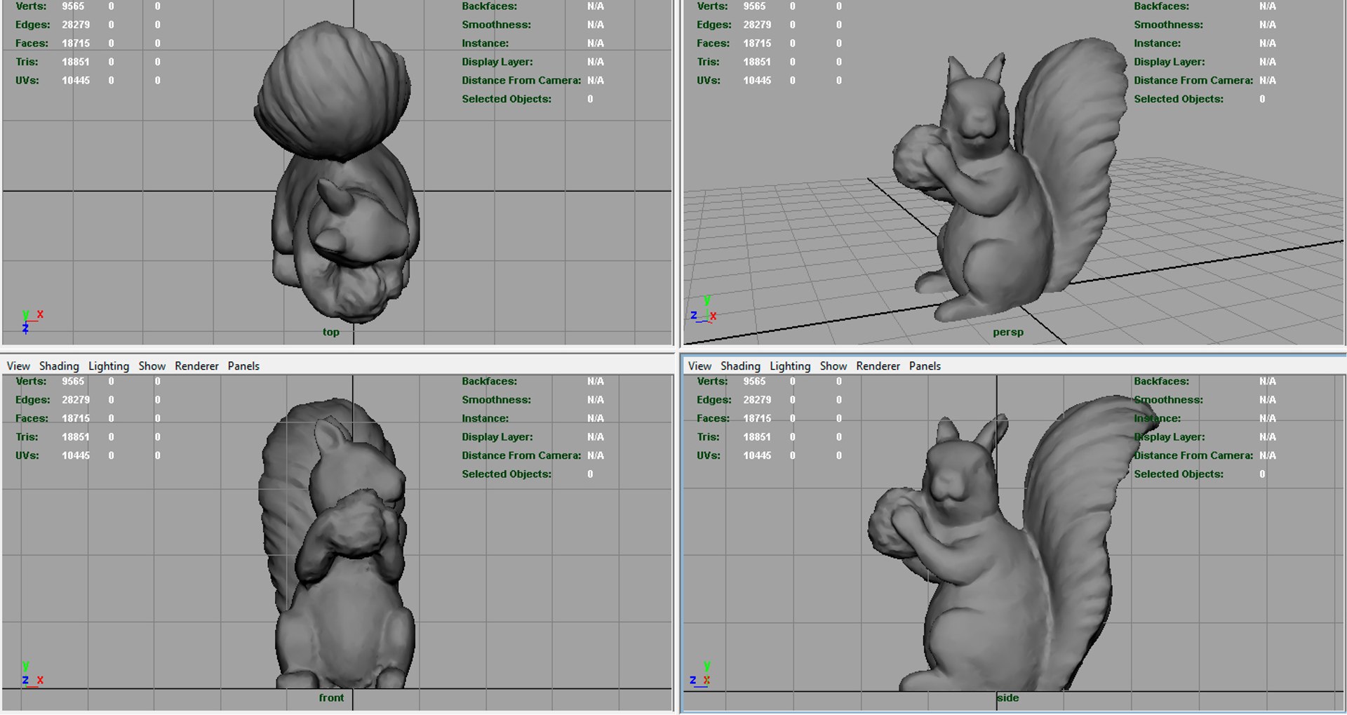 3d squirrel model