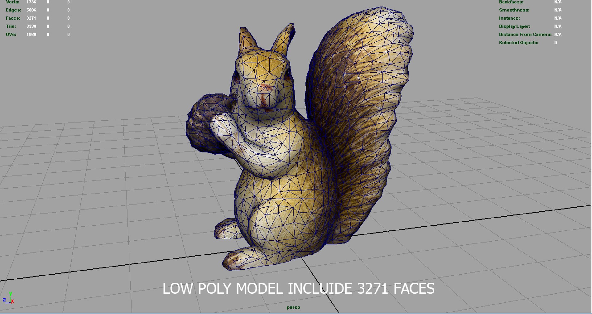 3d squirrel model