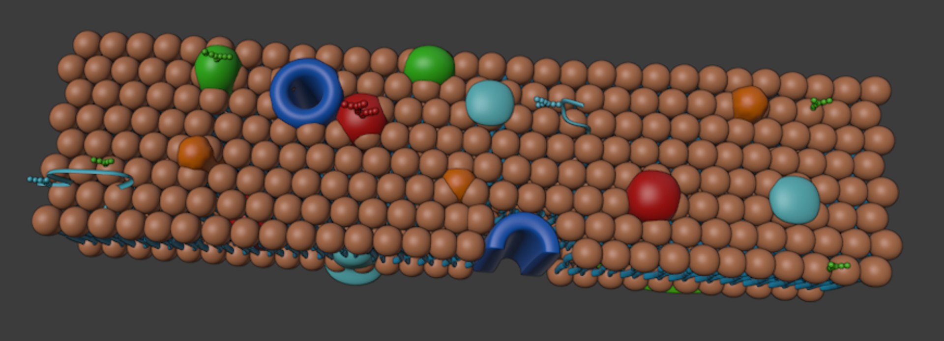 3D Overview Plasma Membrane Model - TurboSquid 1638978