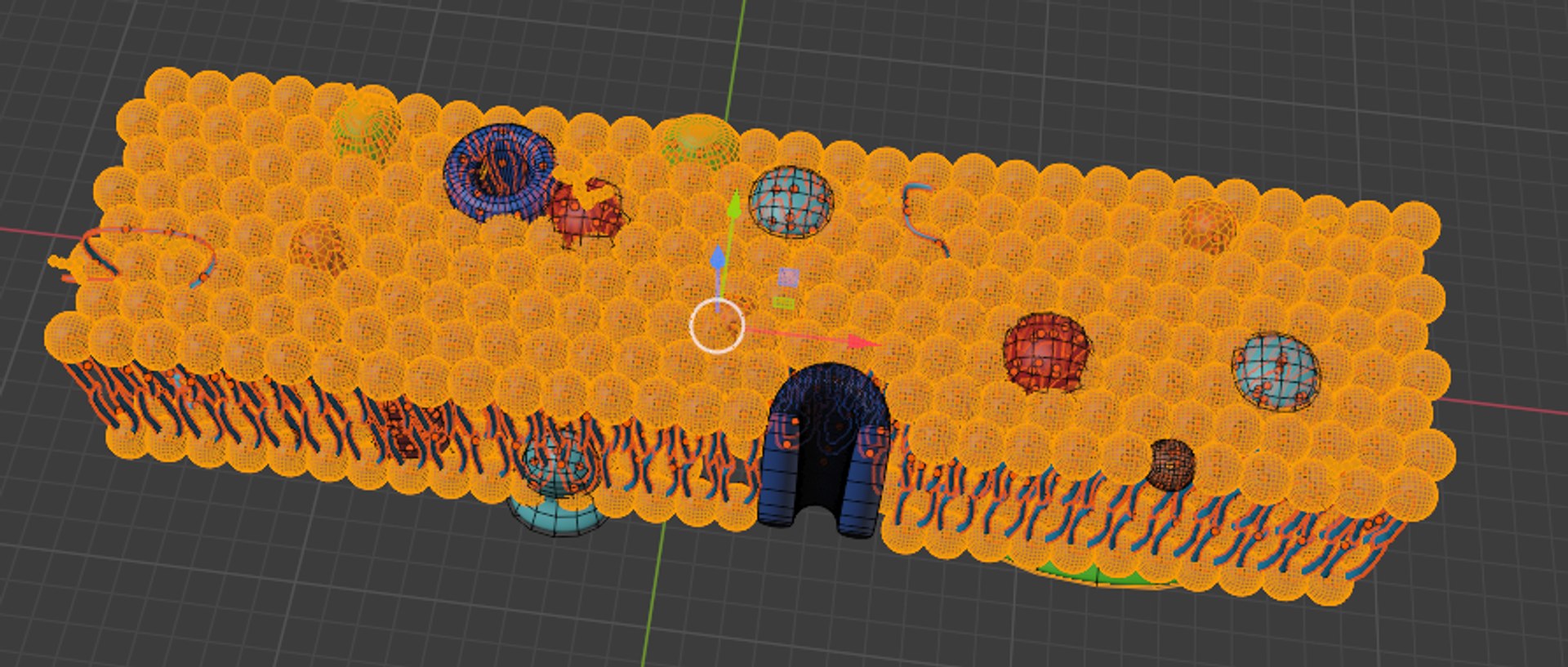 3D Overview Plasma Membrane Model - TurboSquid 1638978