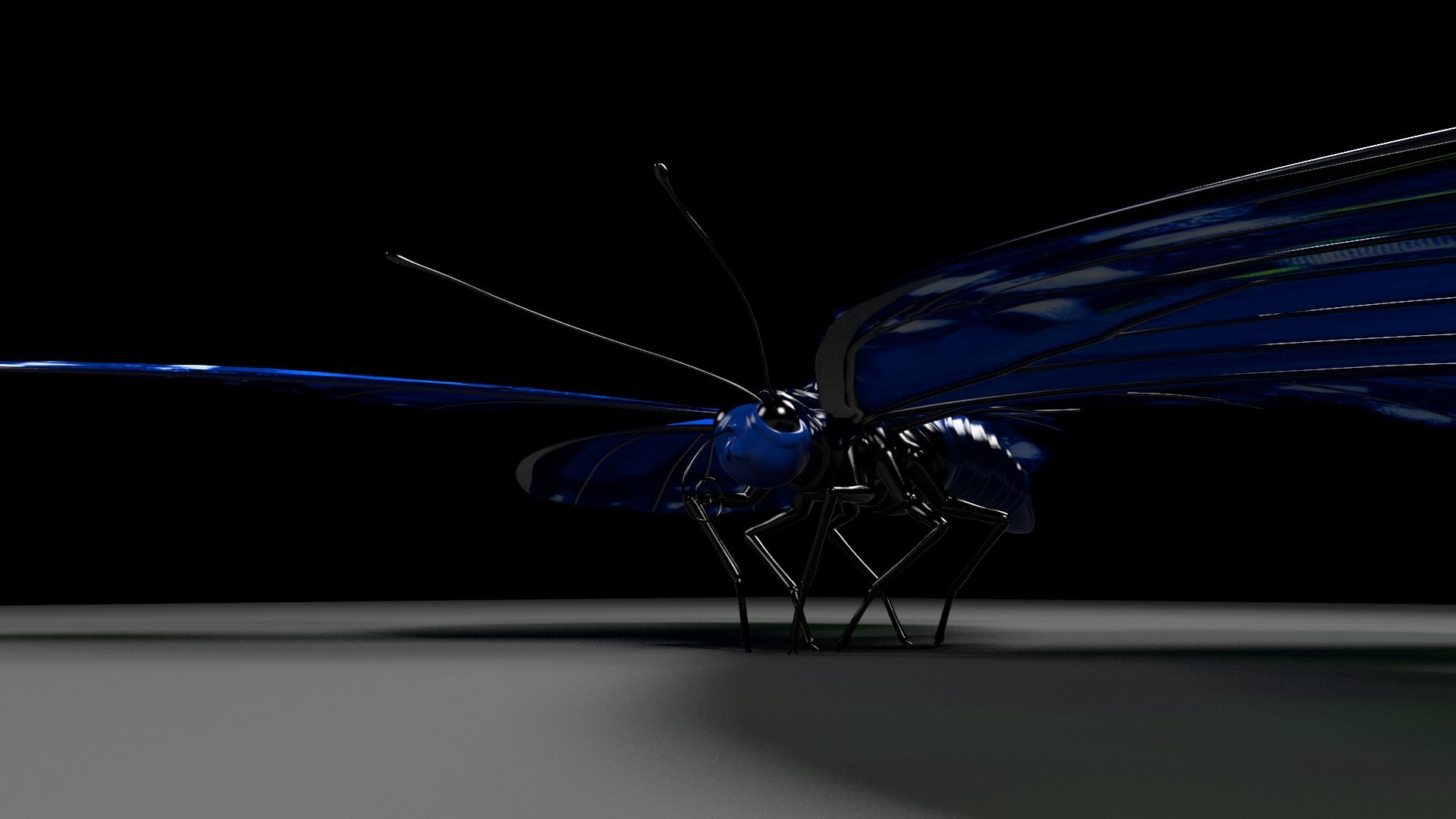 Butterfly Hd 3d Model