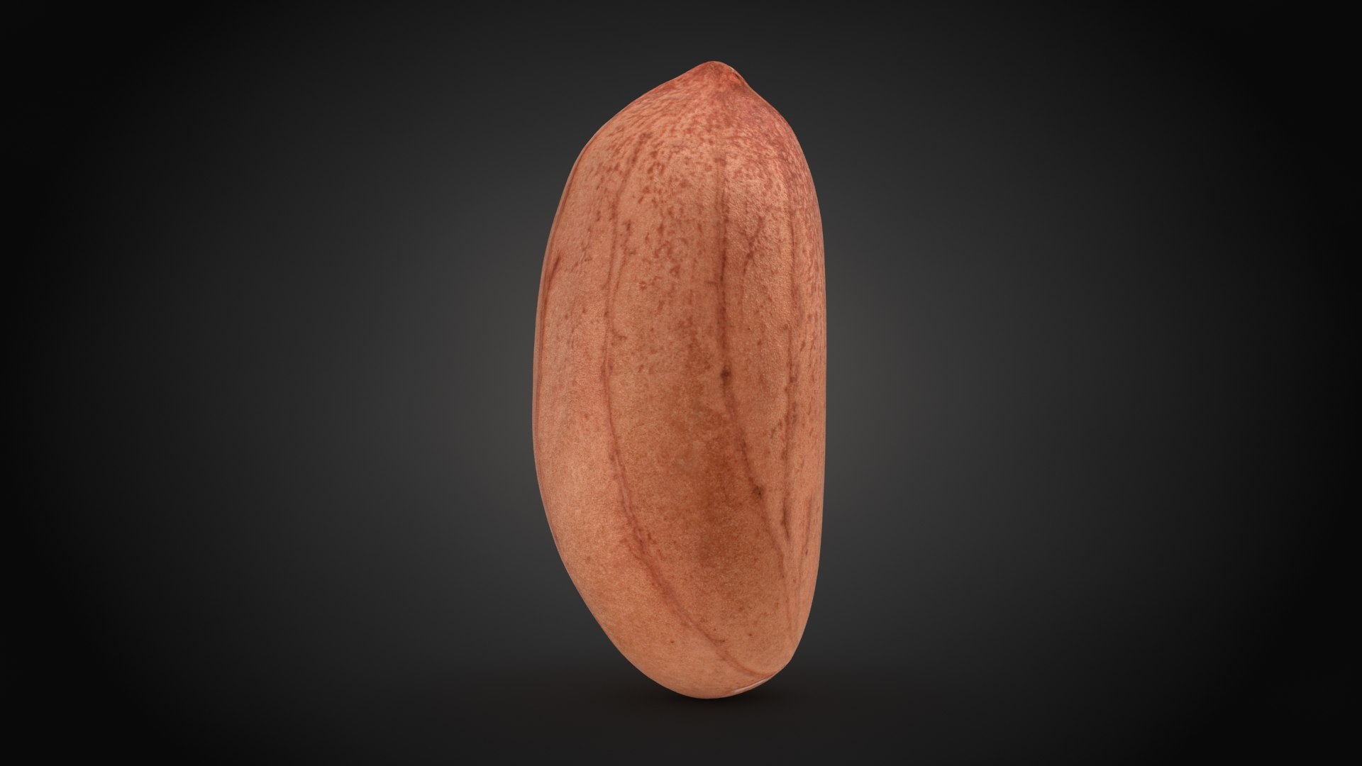 Nuts Collection 2 3D Model - TurboSquid 2058010