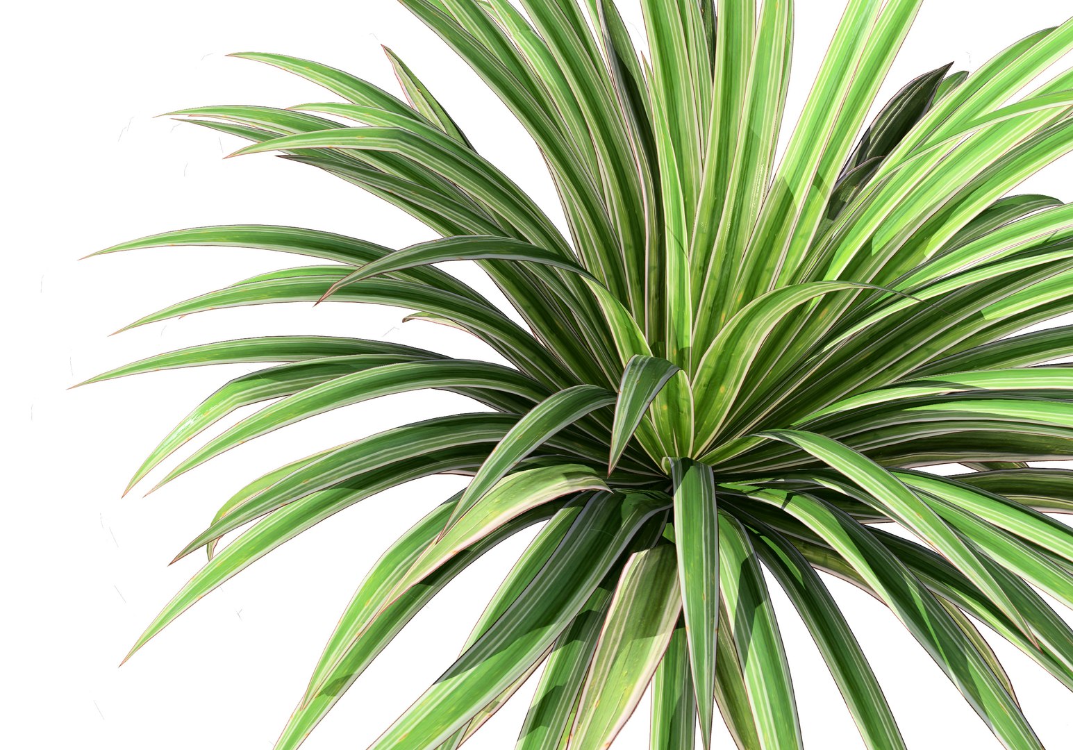 3D Banana Boat Sedge 3d Model - TurboSquid 2163731