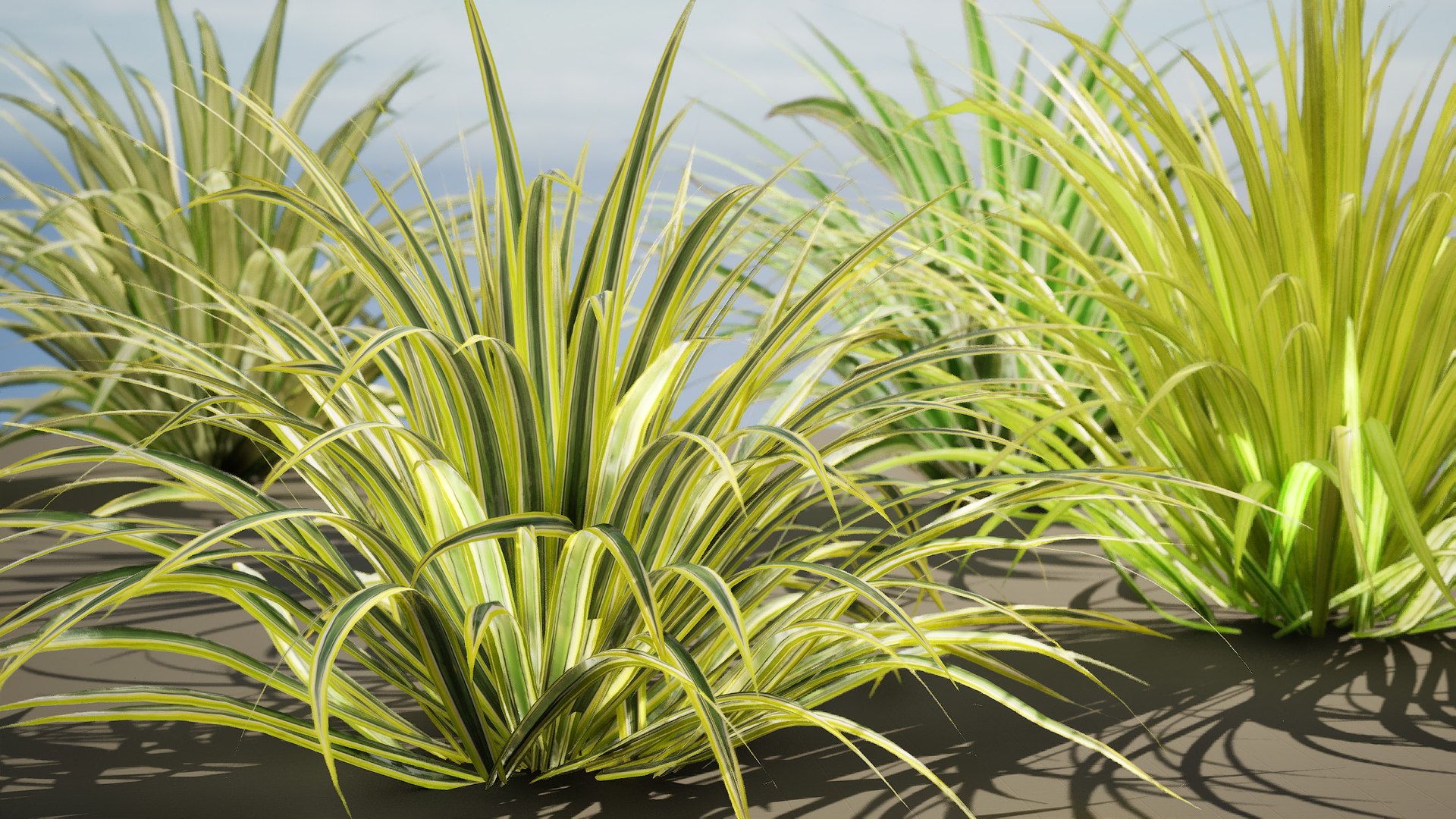 3D Banana Boat Sedge 3d Model - TurboSquid 2163731