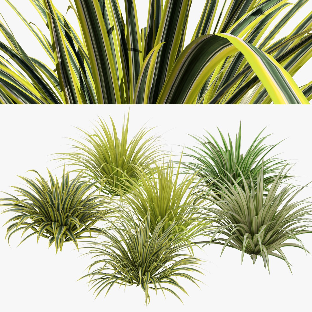 3D Banana Boat Sedge 3d Model - TurboSquid 2163731