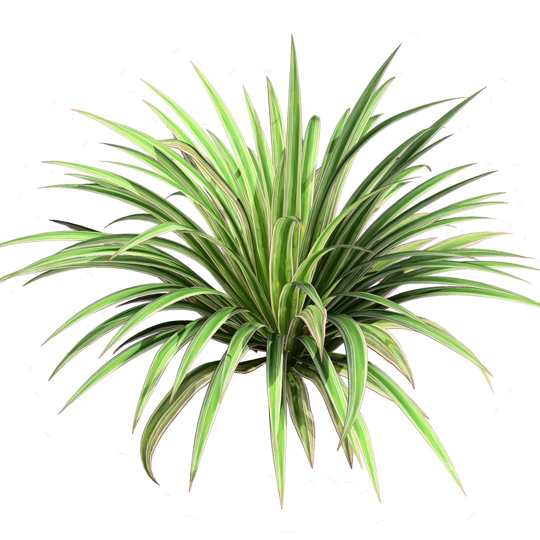 3D Banana Boat Sedge 3d Model - TurboSquid 2163731