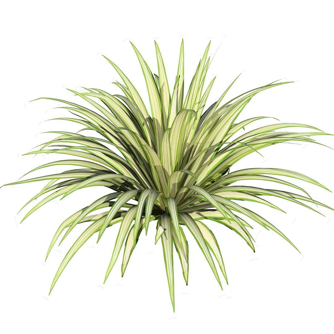 3D Banana Boat Sedge 3d Model - TurboSquid 2163731